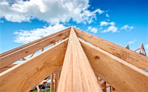 Framing And Interior Construction Timber And Wood Products