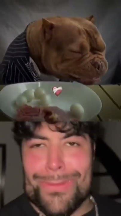 собачка пёс Youtube