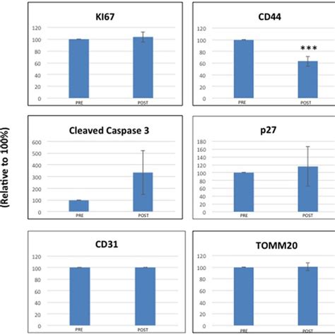 Effects Of Doxycycline Administration On The Expression Of Six