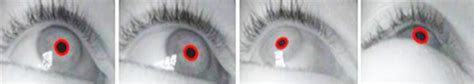 Pupil Localization Results 20 Download Scientific Diagram