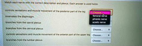 Match Each Nerve With The Correct Description And Plexus Each Answer Is Used Twice Controls