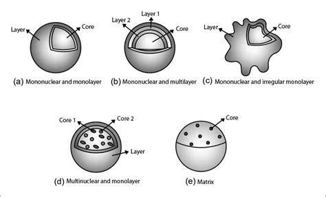 Technological Aspects Of The Microencapsulation Bioactive Food Compounds By Spray Drying