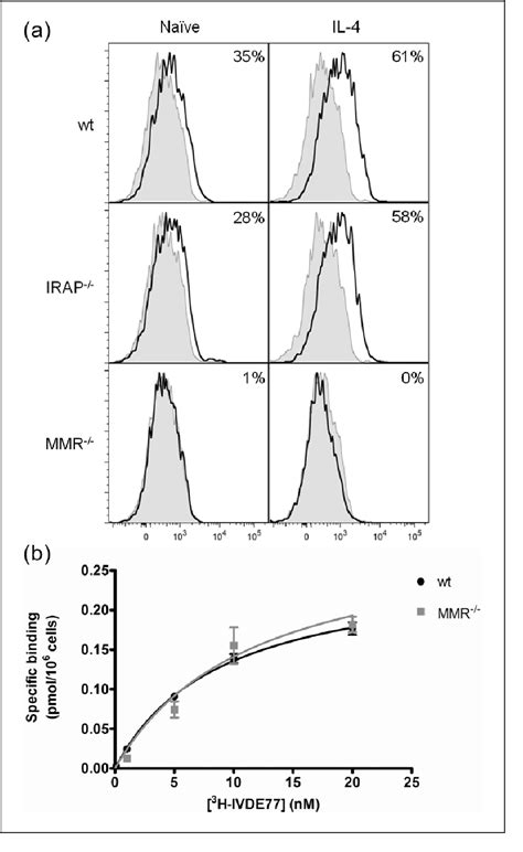Figure 8 From Presence And Regulation Of Insulin Regulated Aminopeptidase In Mouse Macrophages