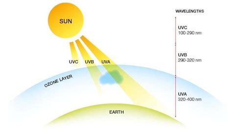 Does Window Glass Block Uv Rays