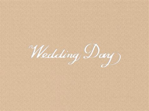 영어 로고 영문 캘리그라피 크몽