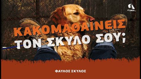 ΦΑΥΛΟΣ ΚΥΚΛΟΣ 2 Οι συνέπειες του να κακομαθαίνεις τον σκύλο σου ΜΙΛΑ ΣΤΟ ΣΚΥΛΟ ΣΟΥ Youtube
