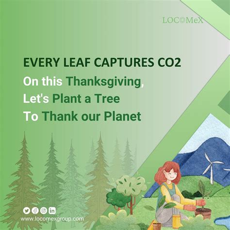 Esg Reporting Software Best Project Based Esg Scoring Tool Anil Menon Medium