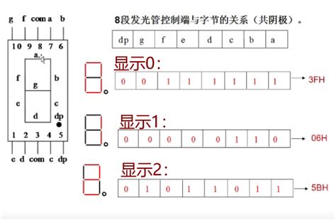 数码管的静态显示数码管静态显示 Csdn博客