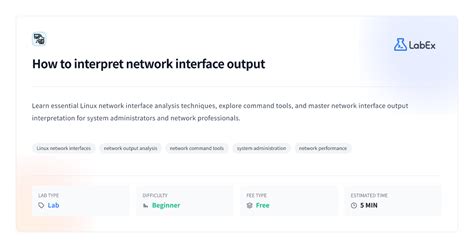 How To Interpret Network Interface Output Labex