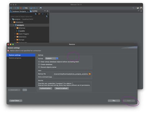 PostgreSQL 스키마 복원 오류