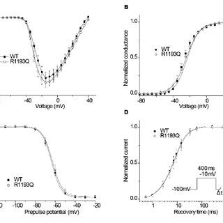 A Current Voltage Relationship Of Peak Currents B The Voltage Download Scientific