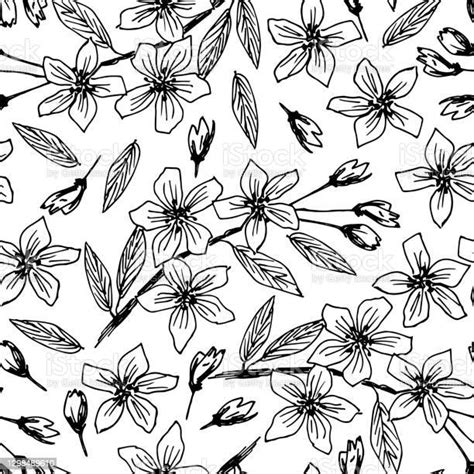 손으로 그린 플로럴 블랙과 화이트 벡터 스니블 패턴의 인그레이빙 스타일 사쿠라 가지 꽃 꽃잎 단풍 직물 인쇄 섬유 제품 포장용 계절별 봄 디자인 Hanami에 대한 스톡