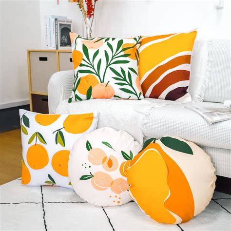 Home Goods Sofa Cushions Baci Living Room