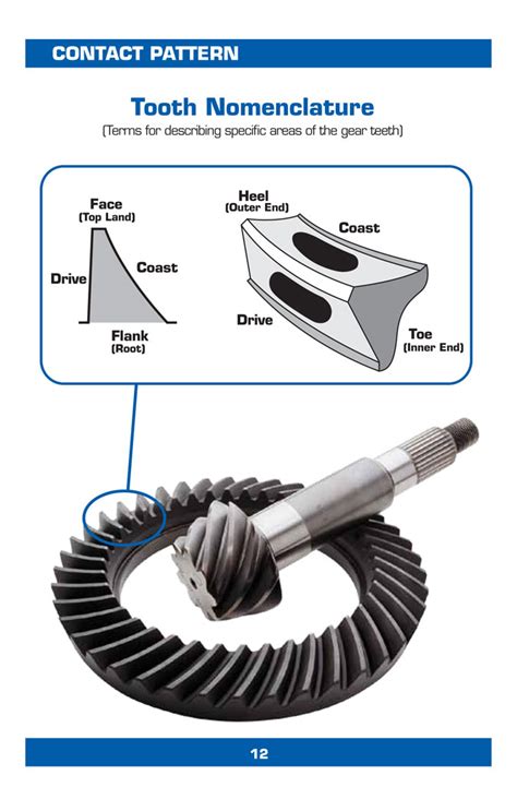 Pinion And Ring Gear Differential At James Madrigal Blog