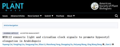 Plant Cell 邓兴旺团队揭示转录因子myb112连通光和生物钟信号调控幼苗光形态建成的分子机制 知乎