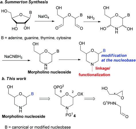 Synthesis Of Morpholino Nucleosides Starting From Enantiopure Glycidol