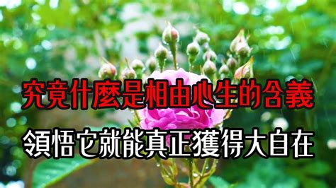究竟什麼才是相由心生的真正含義？領悟它就能真正獲得大自在！暖心疗愈 人生感悟 正能量 玄学 Youtube