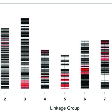 Distribution Of All Polymorphic Ssr And Slaf Markers In Nine Linkage Download Scientific