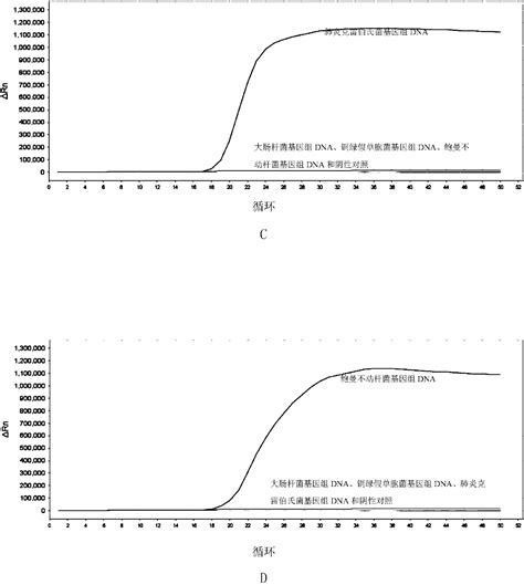 Lamp Primer Combination For Detecting 4 Gram Negative Bacteria In Intraocular Fluid And
