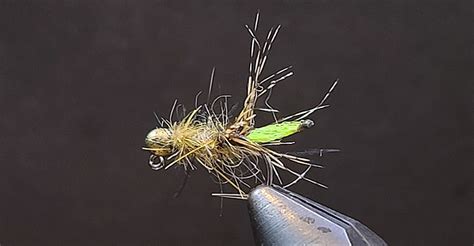 Peeking Caddis Pupa Worley Bugger Fly Co