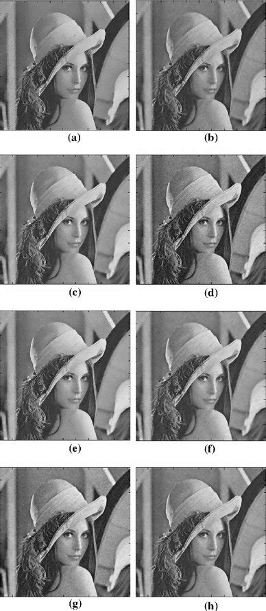 Comparison Of Results From Different Anisotropic Diffusions With Download Scientific Diagram