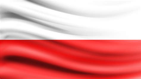 폴란드의 현실적인 흔들리는 깃발 폴란드 공화국의 현재 국기 폴란드 국가의 물결 모양의 그늘진 국기의 그림입니다 폴란드어 플래그와 배경입니다 국기에 대한 스톡 벡터 아트 및
