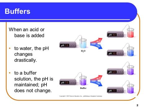 Examples Of Buffer Biology In Organisms And Systems