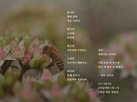 가능하면 1일 1시 색을 나르다