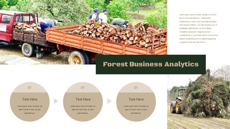 Forestry Business Presentation Google Slides Templates