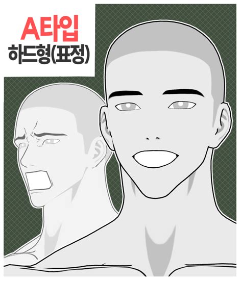 자유자재 데포르메 헤드 3d Ver2 A타입 표정 하드형 고로케