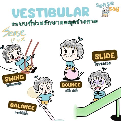 Vestibular ระบบที่ช่วยรักษาสมดุลร่างกาย