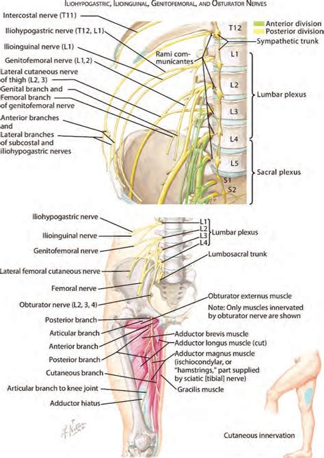 Use Of Spermatic Cord Block Systematically Identifies A Paraspinal Tumor As Source Of Orchialgia