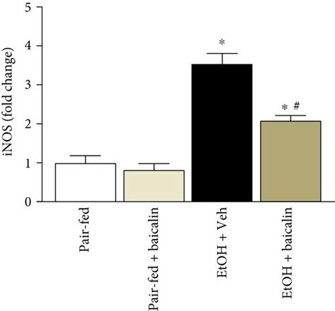 Baicalin Treatment Reduces Mrna Expression Of Ros Generating Enzymes In