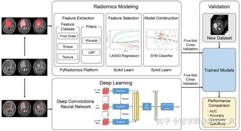 影像组学国自然热点方向（transformer）标书设计 预实验：mri深度学习模型预测直肠癌症的预后 知乎