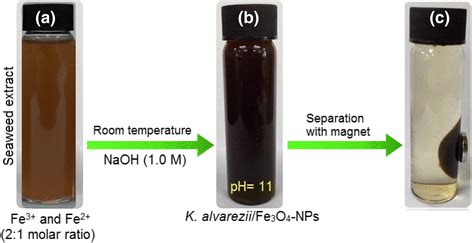 Green Synthesis Of Magnetite Fe3o4 Nanoparticles Using Seaweed
