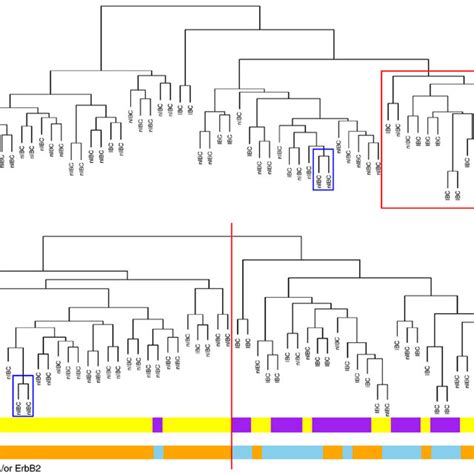 Unsupervised Hierarchical Complete Linkage Clustering Was Performed
