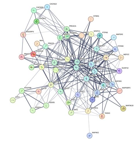 Pathcards Mapk Signaling Pathway Pathway And Related Pathways
