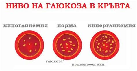 Кръвна захар стойности таблици хипергликемия Лечение с лекарства и билки Демир Бозан