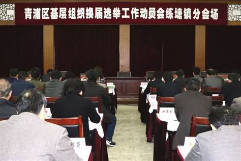 镇组织观看区2018年基层组织换届选举工作动员会暨基层党组织换届选举工作培训会工作动态练塘镇上海市青浦区人民政府