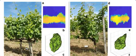 Data Processing Of Sampled Vines A D Using 25d B E And 3d C F Download Scientific