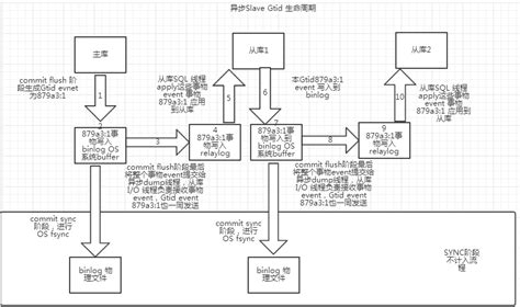 深入理解mysql 5 7 Gtid系列 一 腾讯云开发者社区 腾讯云
