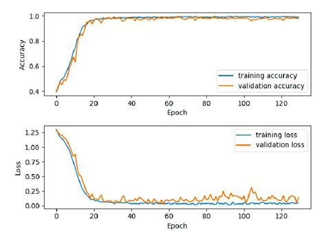 Training Metrics Including Cross Validation Download Scientific Diagram