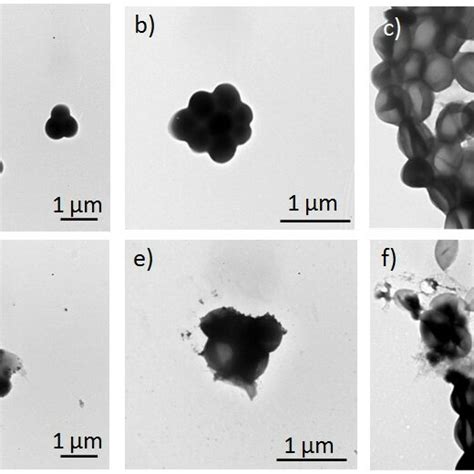 Figure S26 Isothermal Titration Calorimetry Itc Thermograms Of Short Download Scientific