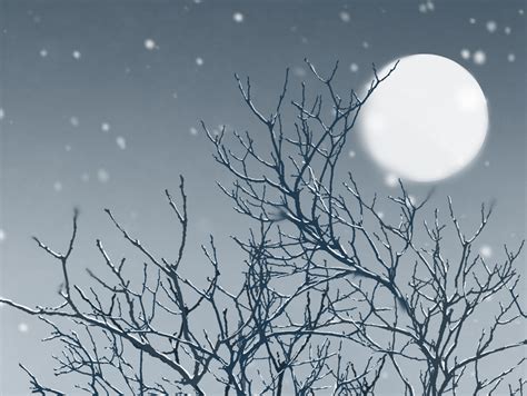 从此无心爱良夜任他明月下西楼 寒十七 站酷ZCOOL