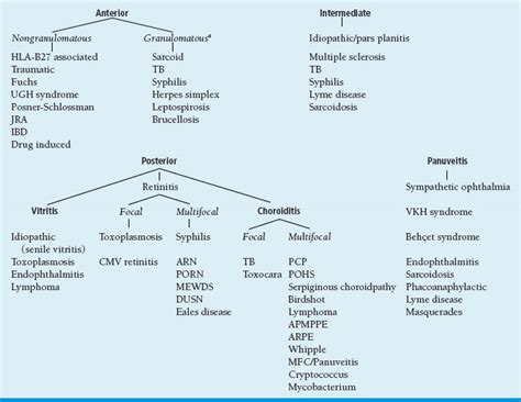Uveitis For Medical Students Mutah University Dr Fawaz Al Sarayreh