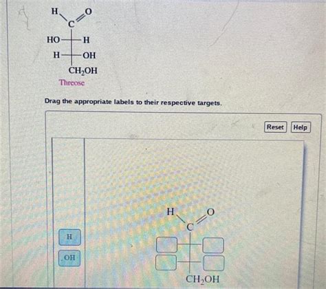 Solved Drag The Appropriate Labels To Their Respective Chegg Com