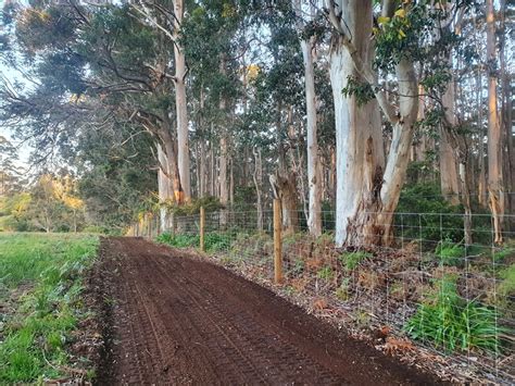 Firebreaks Forest Grove Small Property Services