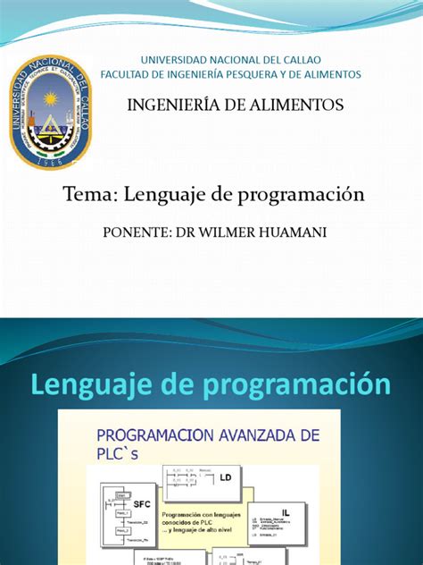 lenguaje de programación pdf cadena informática tipo de datos