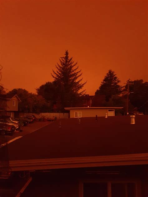 I Was Gonna Go Running But Scrolller