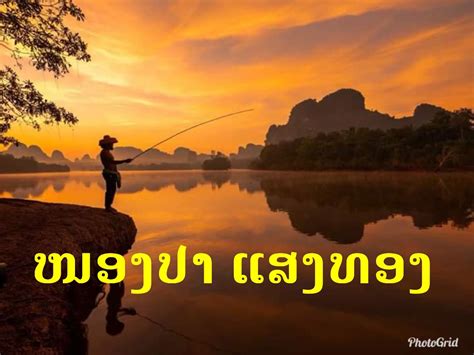 ກຸ່ມ ໜອງປາ ນະຄອນຫຼວງ